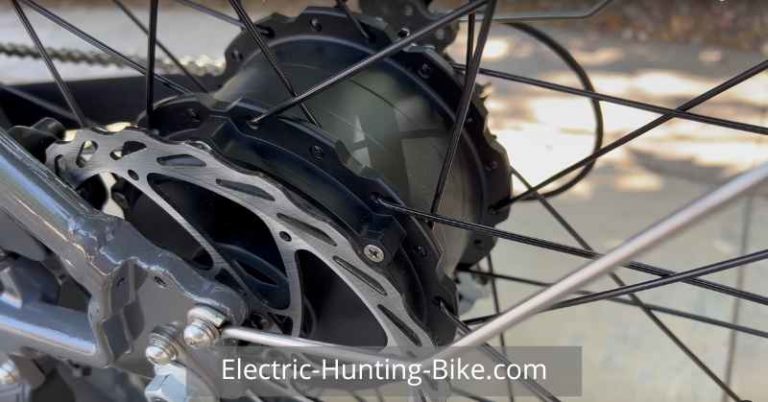 RAD Power Bikes RadRover 6 Plus Step-Thru And High-Step Review