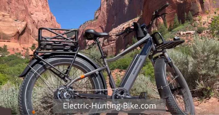 RAD Power Bikes RadRover 6 Plus Step-Thru And High-Step Review