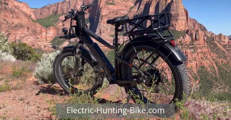 RAD Power Bikes RadRover 6 Plus Step-Thru And High-Step Review