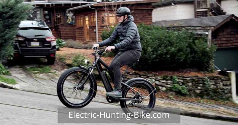 RAD Power Bikes RadRover 6 Plus Step-Thru And High-Step Review