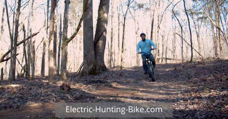 RadRunner 2 Electric Hunting And Utility Bike Review