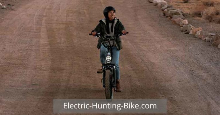 RAD Power Bikes RadRunner Plus Review - Best For Hunters?