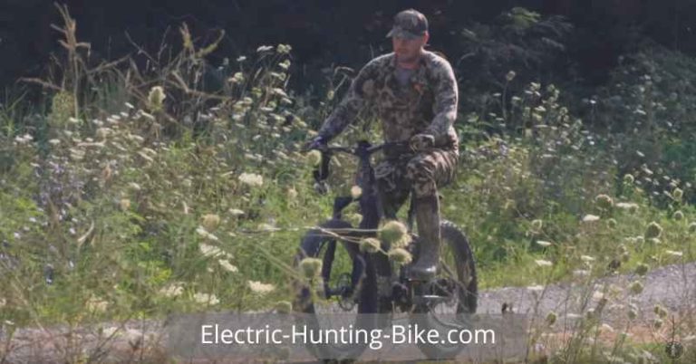 Rambo Prowler 1000 Electric Hunting Bike Review