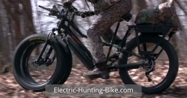 Rungu Dualie XR Rubicon Trail Edition Electric Bike Review